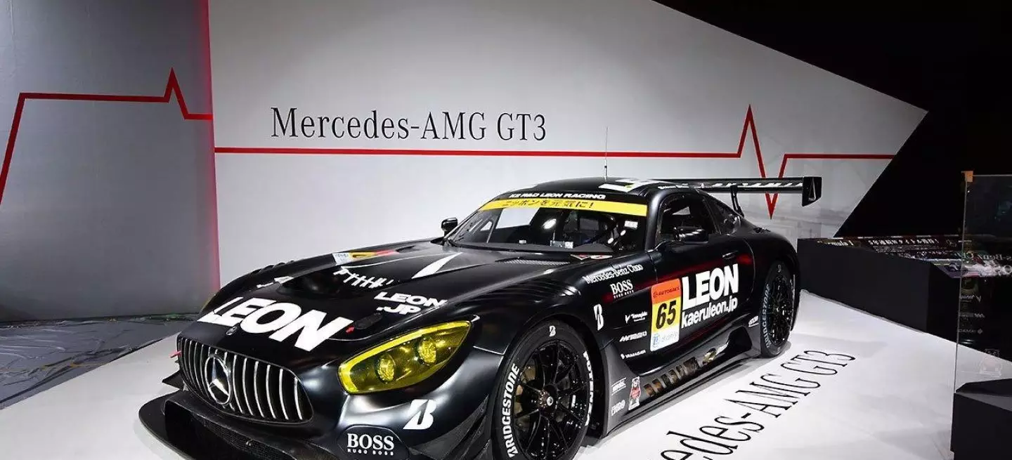 Mercedesleon2019gt300