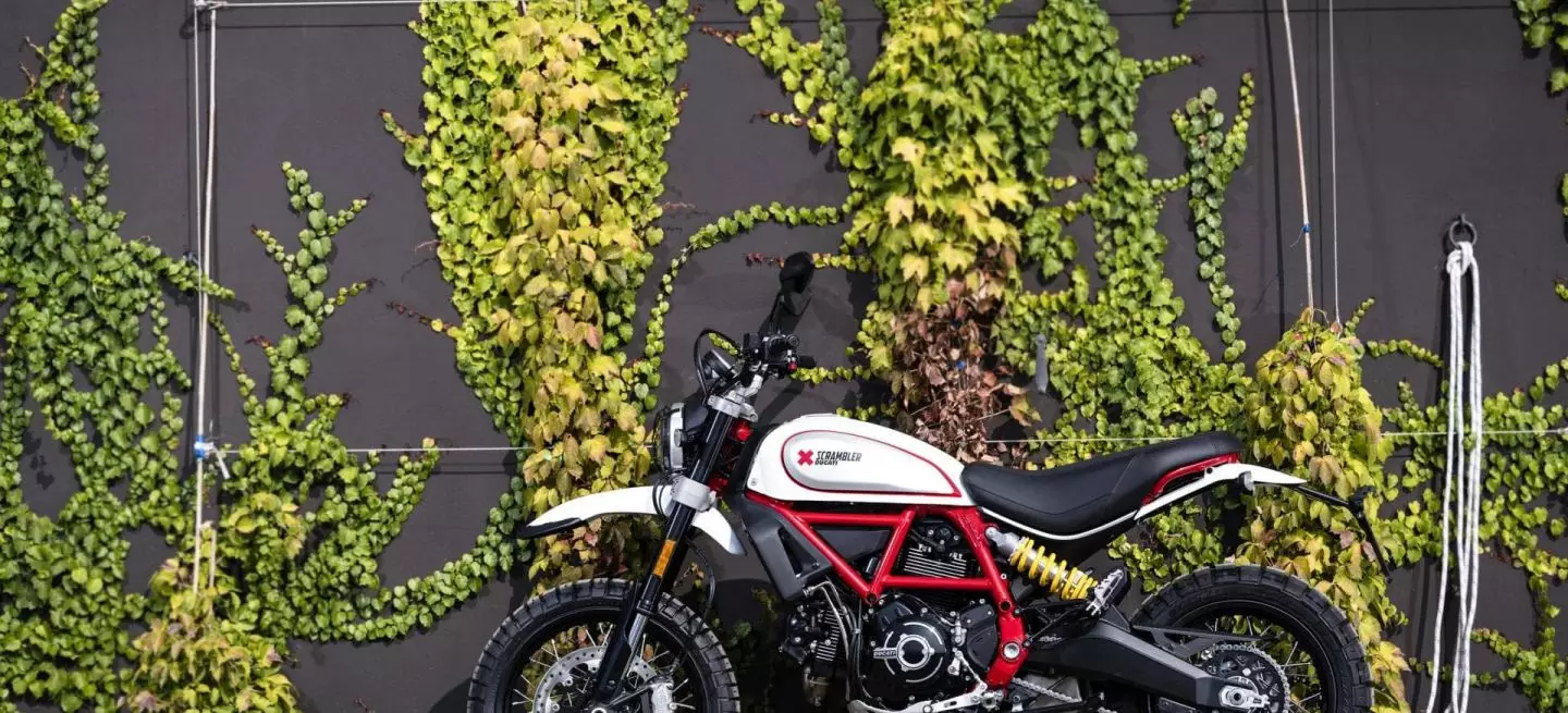 1623513 Ducati Scrambler Desert Sled Ambience 01 Uc67948 لوړ