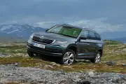 Yaygara yok! Skoda Kodiaq önceden 12 görüntüde filtrelendi 122054_4