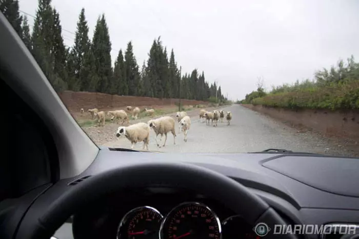 Test Dacia Lodgy յոթ նստատեղ