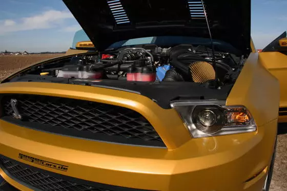 GeigerCars Shelby GT640 गोल्डन स्नेक