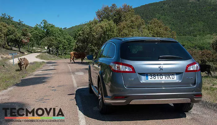 Peugeot 508 RXH