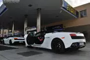 Lamborghini დაეშვა სამხრეთ ამერიკაში 41163_4