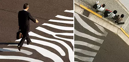 zebra cross asli, bentuk kulit zebra