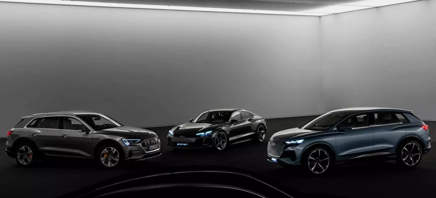 Audi E Трон Диапазон 1019 002