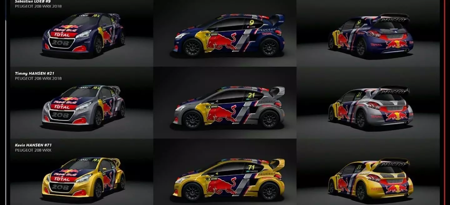 peugeot_208_wrx_world_rallycross_10