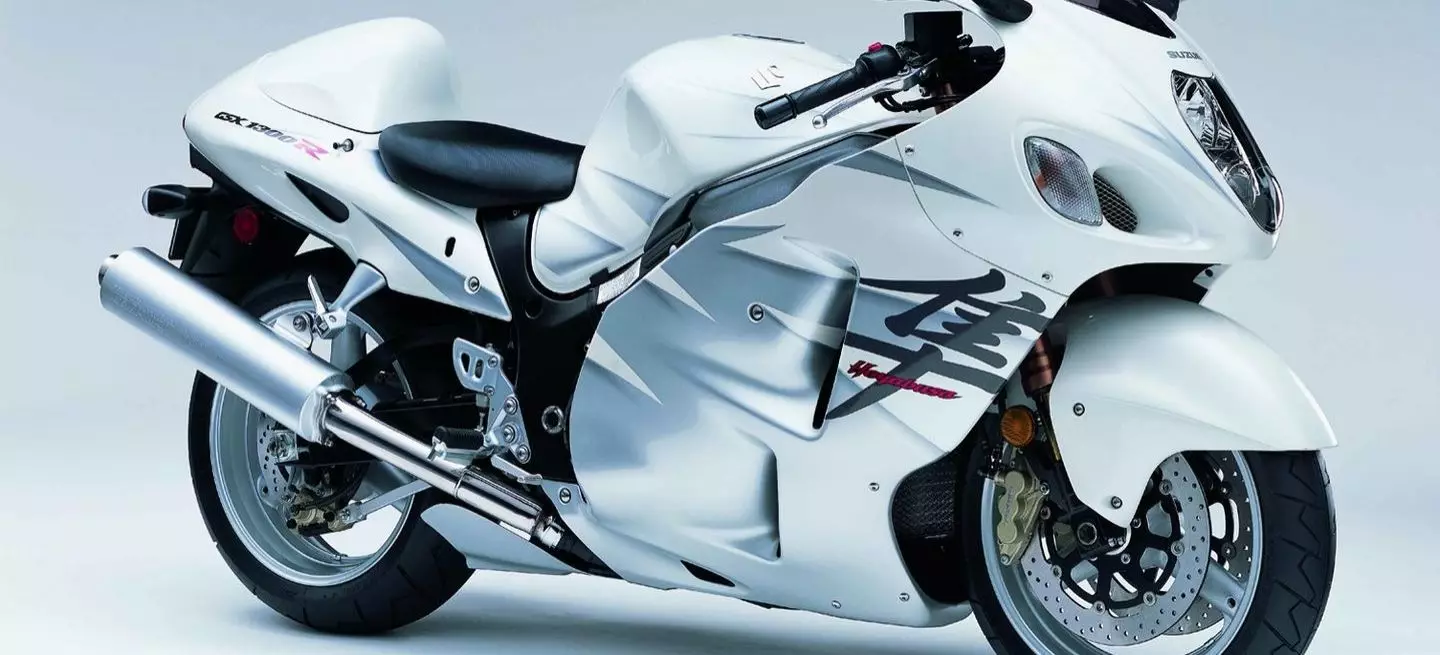 Suzuki Hayabusa Fin 1